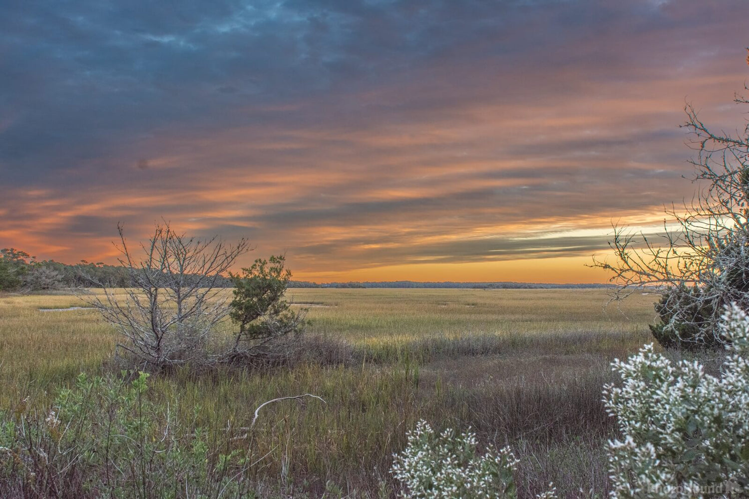 Edisto Elders Share Stories – Edisto Island Museum Gift Shop